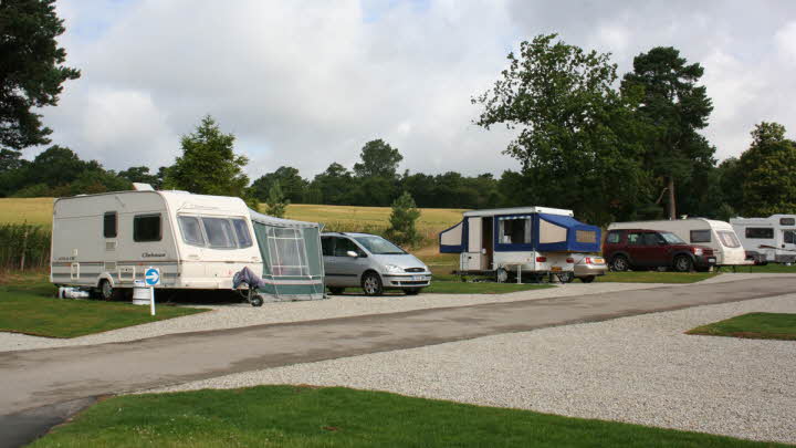 Bearsted Club Campsite | The Caravan Club