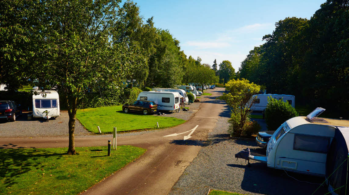 Ayr Craigie Gardens Club Campsite | The Caravan Club