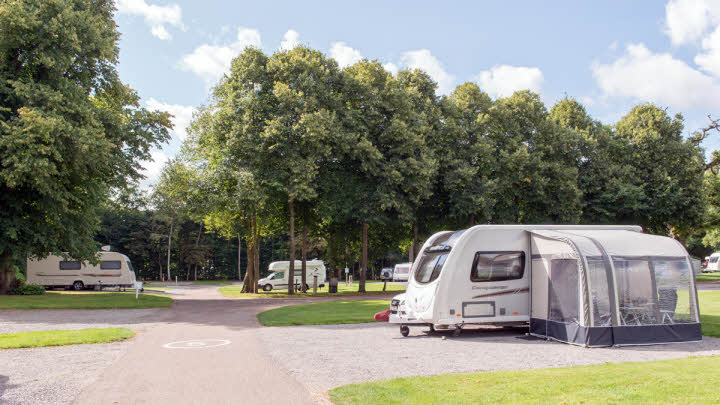 Henley Four Oaks Club Campsite | The Caravan Club
