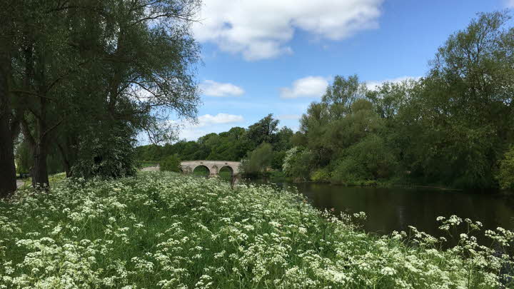 Ferry Meadows Club Campsite | The Caravan Club