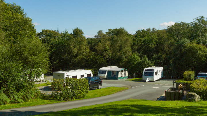 Coed-Y-Llwyn Club Campsite | The Caravan Club