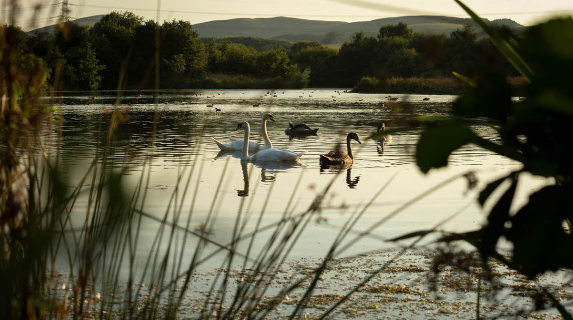 River Breamish Club Campsite | The Caravan Club