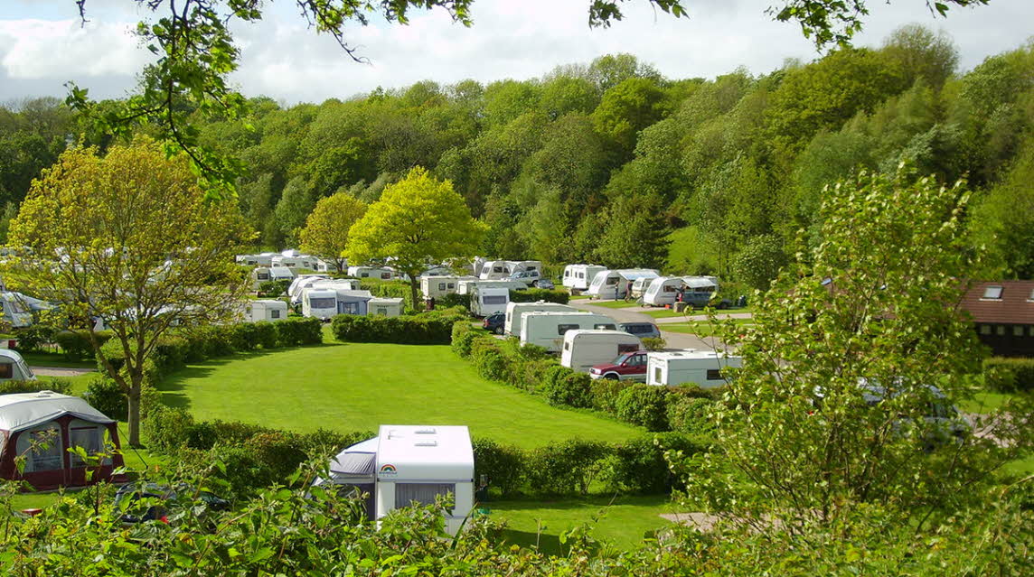 Say hello to Dornafield Touring Park | The Caravan Club