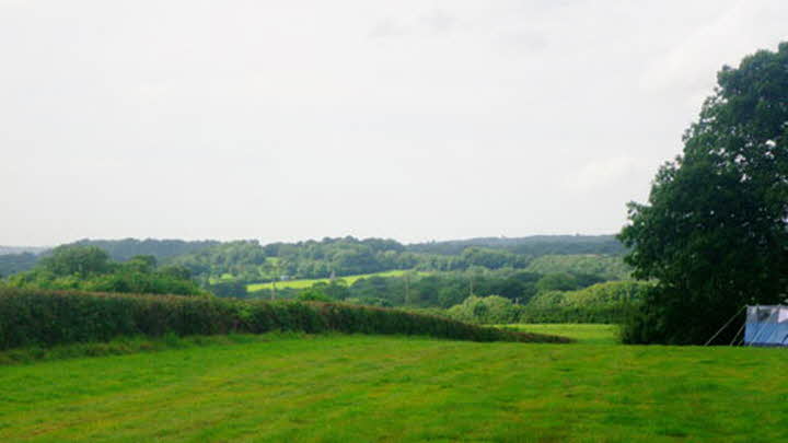 Pitts Farm CL - Wells | Caravan and Motorhome Club