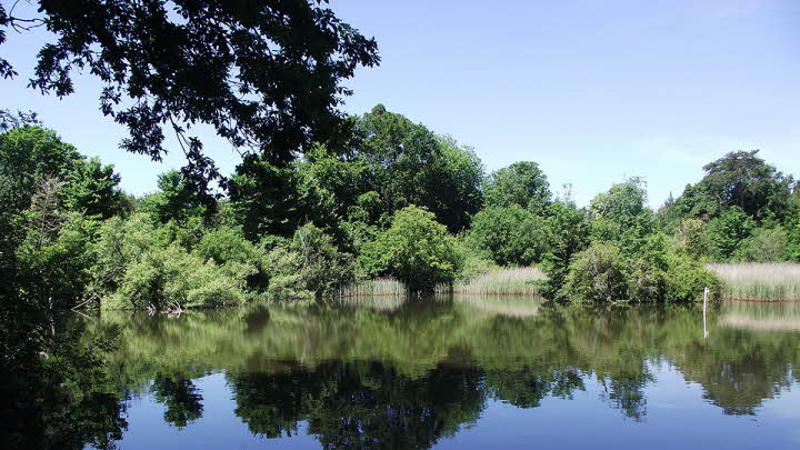 Tredegar House Country Park Club Campsite | The Caravan Club