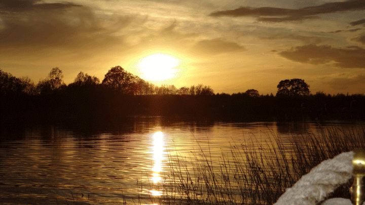 Hawton Waters CL | Caravan and Motorhome Club