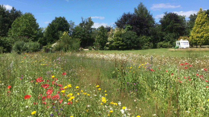 Birch Trees Farm CL | Caravan and Motorhome Club