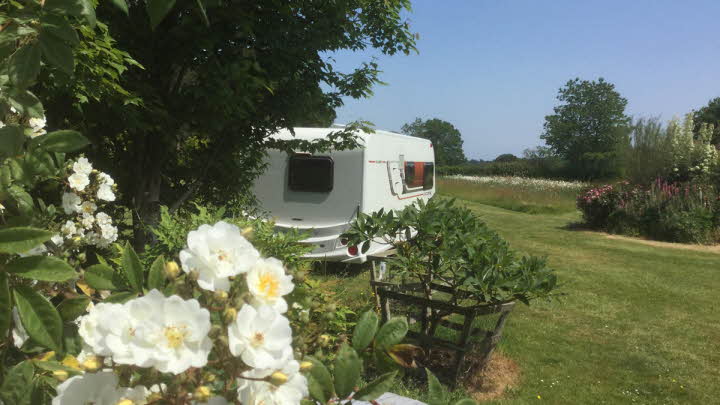 Birch Trees Farm CL | Caravan and Motorhome Club