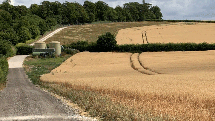 Thrift Farm Certificated Location | Caravan and Motorhome Club