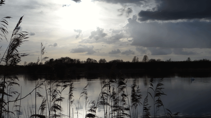 Hawton Waters CL | Caravan and Motorhome Club