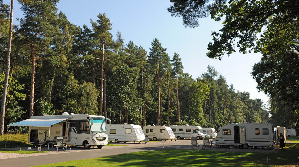 Thetford Forest Club Campsite | The Caravan Club