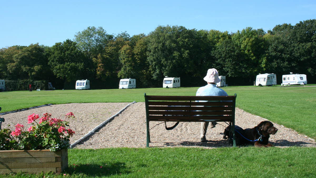 Knockhatch Adventure Park | 10% Off | The Caravan Club
