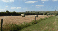 Rodden Barn Farm CL | Caravan and Motorhome Club