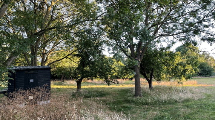 Longlands Farm Certificated Location | Caravan and Motorhome Club