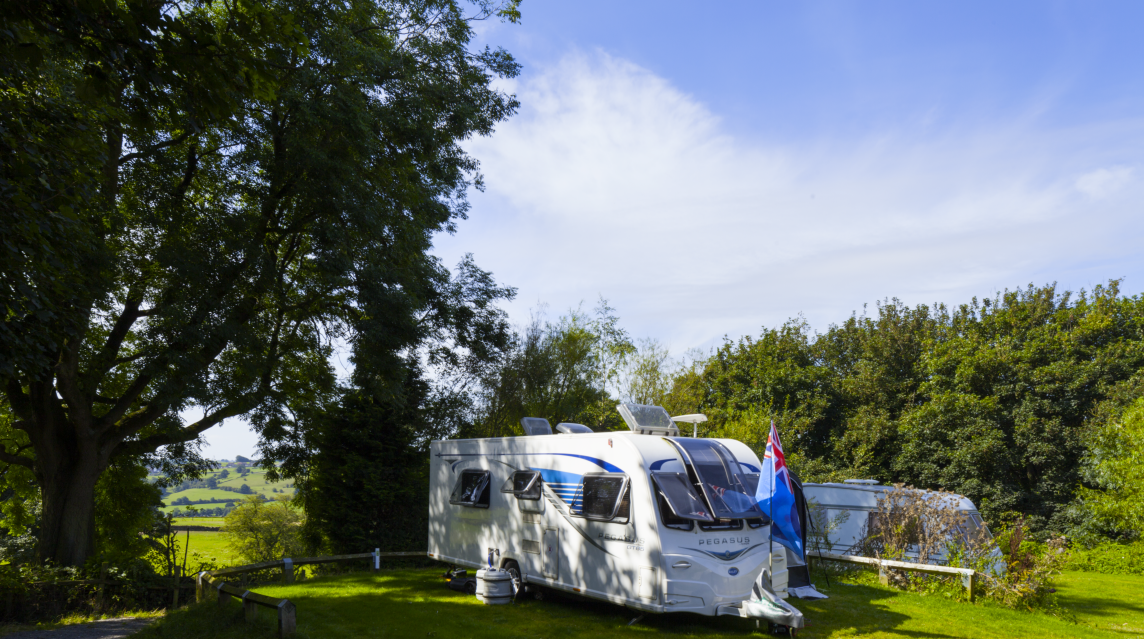 The Firs Club Campsite | The Caravan Club