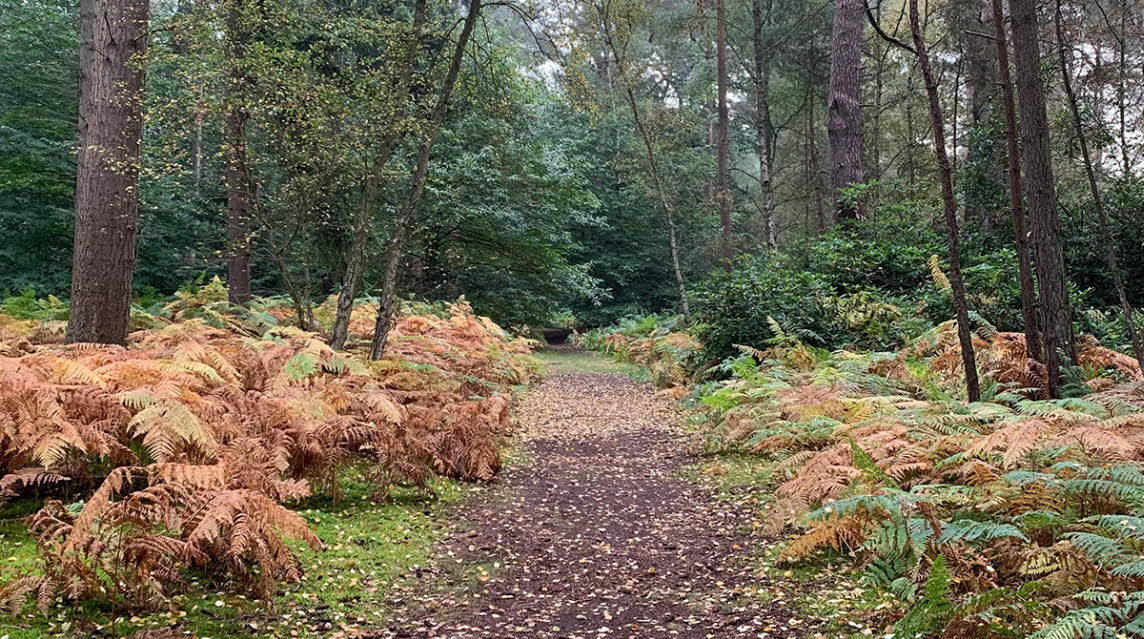 The Sandringham Estate Club Campsite | The Caravan Club