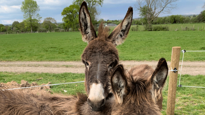 Choller Farm Certificated Location | Caravan and Motorhome Club