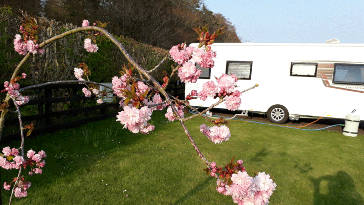 Low Moor Head Farm CL | Caravan and Motorhome Club