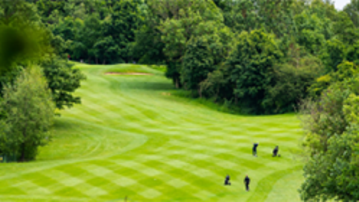 Bearsted Club Campsite | The Caravan Club