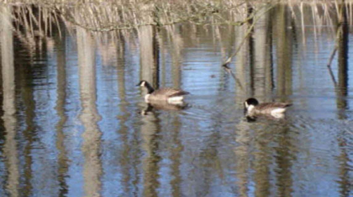 Lleweni Parc Certificated Location | Caravan and Motorhome Club