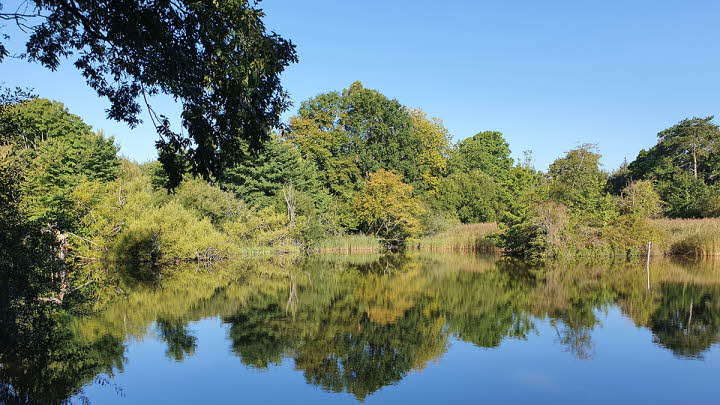 Tredegar House Country Park Club Campsite | The Caravan Club
