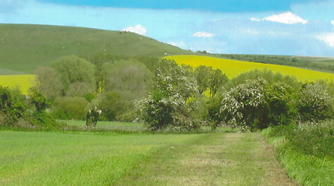 Court Farm CL - Devizes | Caravan and Motorhome Club