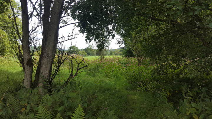 Chillingham Barns CL | Caravan and Motorhome Club