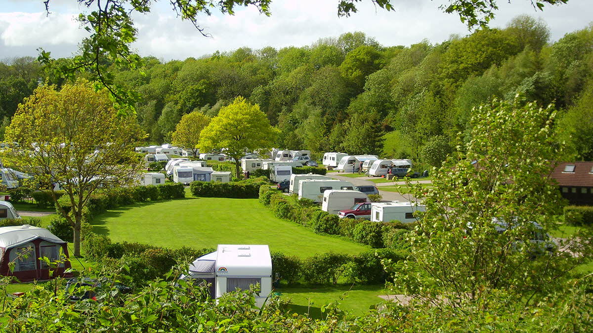 Say hello to Dornafield Touring Park | The Caravan Club