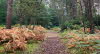 The Sandringham Estate Club Campsite | The Caravan Club