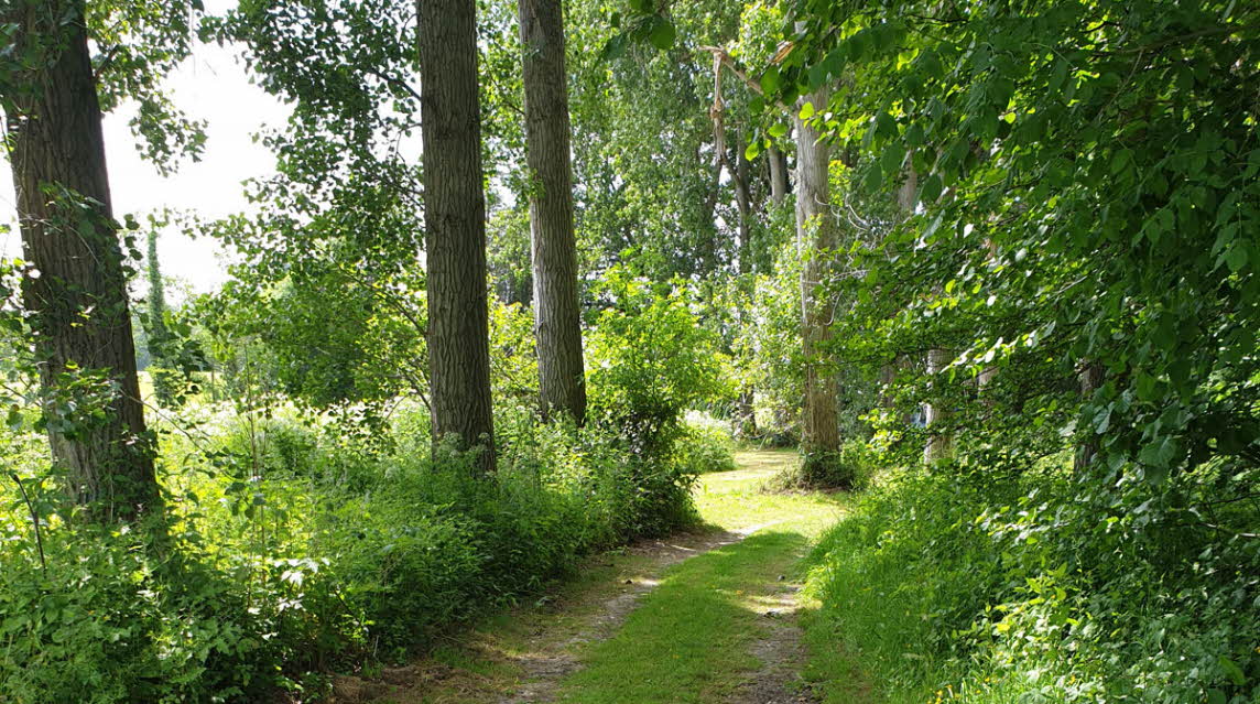 Lleweni Parc Certificated Location | Caravan and Motorhome Club