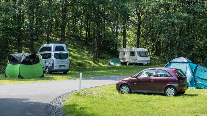 Coniston Park Coppice Club Campsite | The Caravan Club