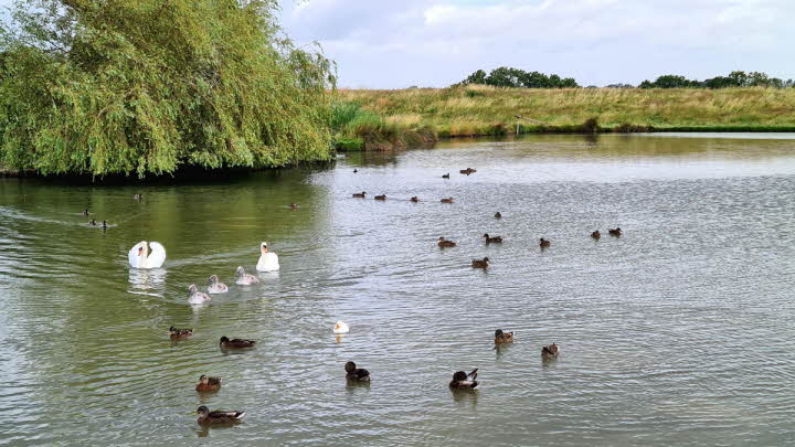 Sweet Knowle Certificated Location | Caravan and Motorhome Club