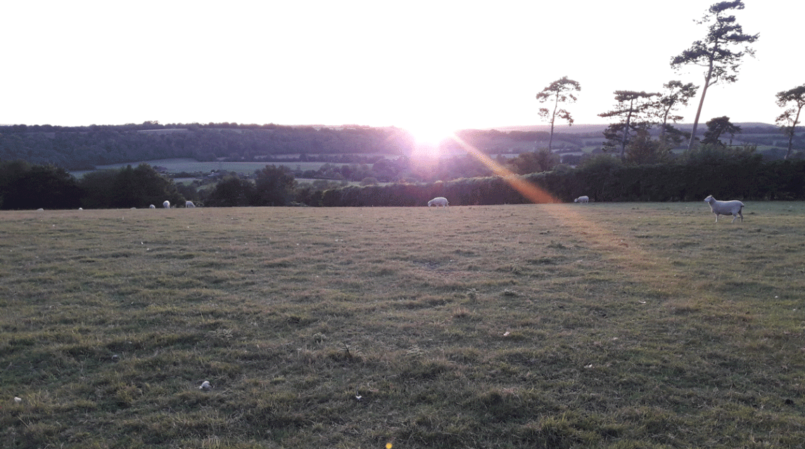 Bow Hill Farm Certificated Location | Caravan and Motorhome Club