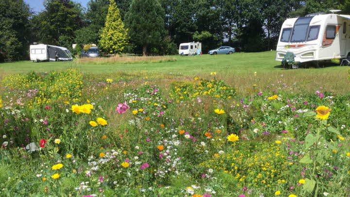 Birch Trees Farm CL | Caravan and Motorhome Club