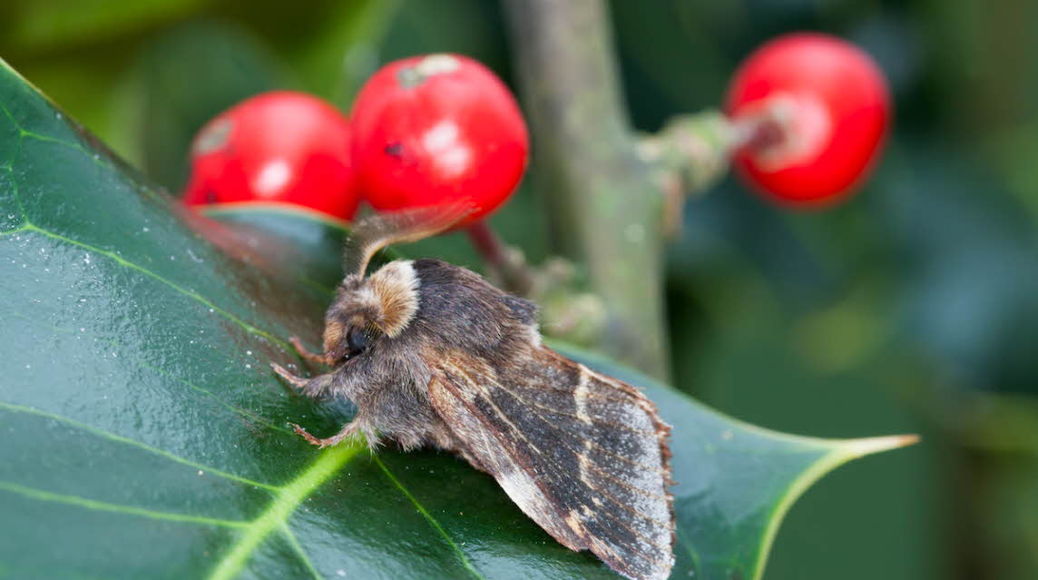 Landscape photography | The Caravan Club