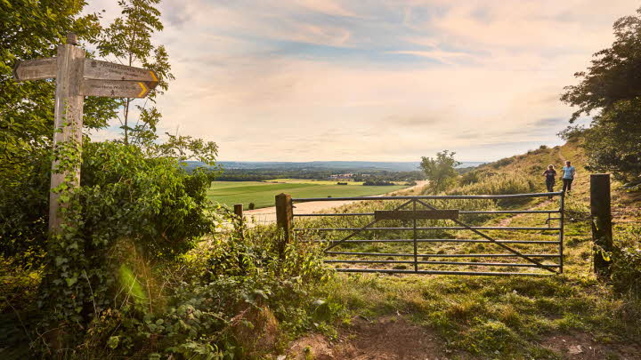 Bearsted Club Campsite | The Caravan Club