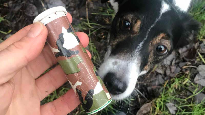 Geocaching in the UK | The Caravan Club