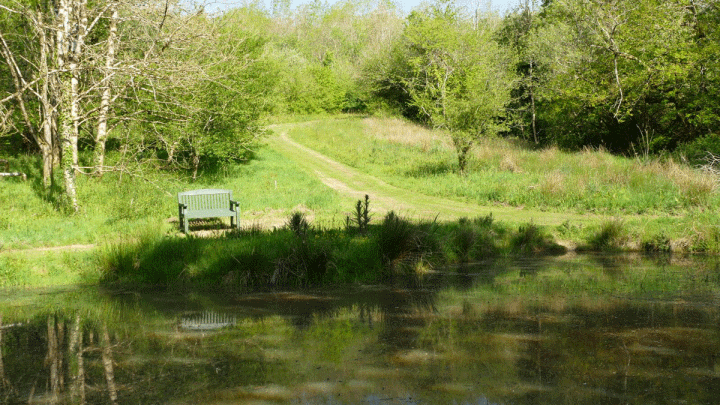 Venn Farm Certificated Location | Caravan and Motorhome Club