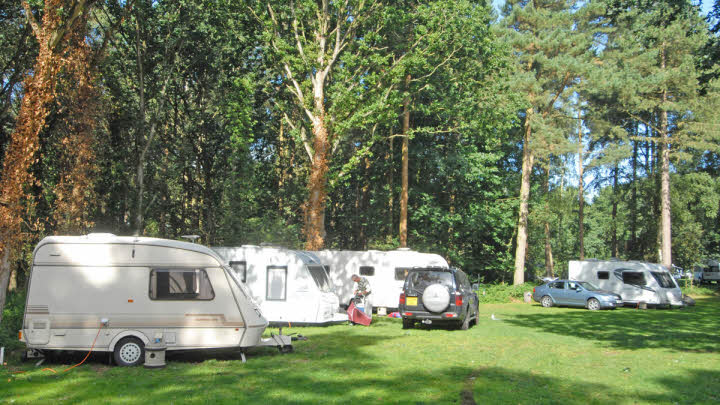 Thetford Forest Club Campsite | The Caravan Club