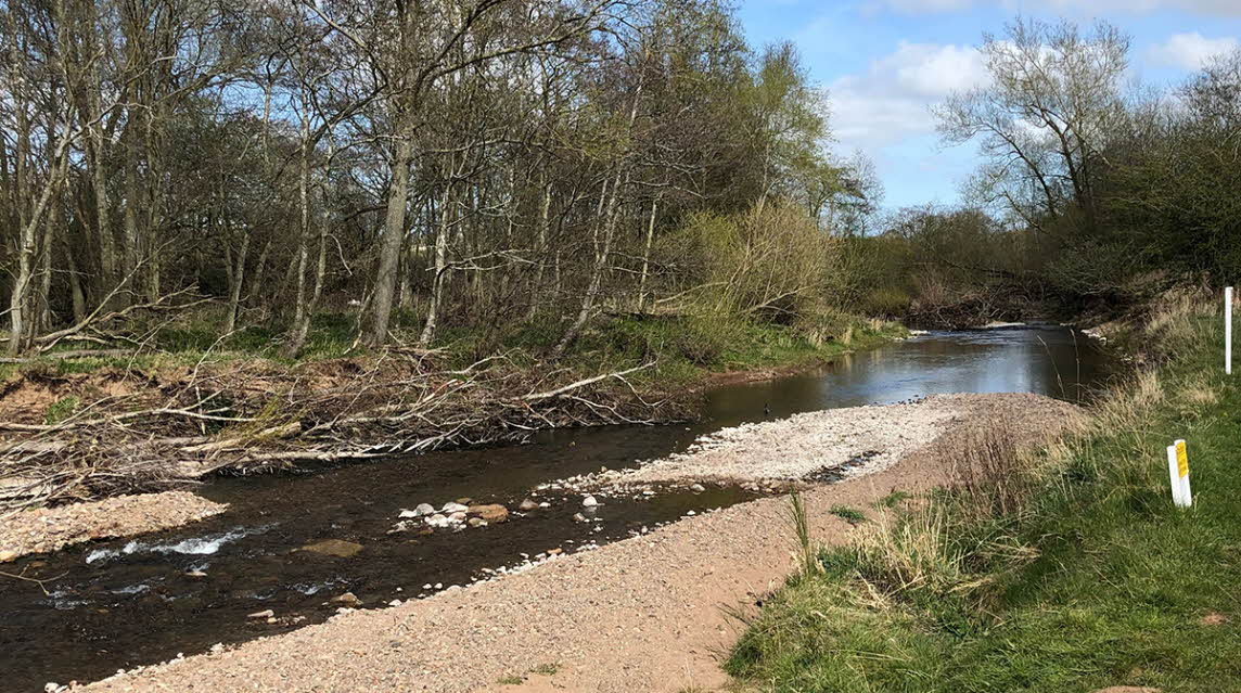 River Breamish Club Campsite | The Caravan Club