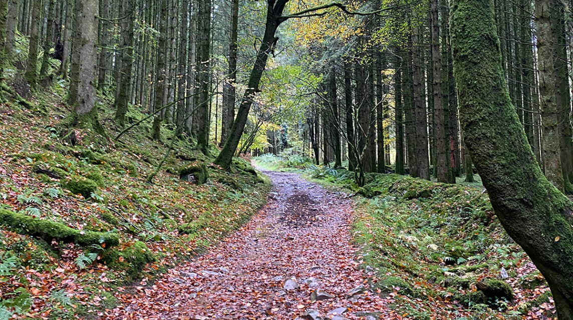 Exmoor House Club Campsite | The Caravan Club