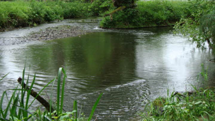 Lleweni Parc Certificated Location | Caravan and Motorhome Club