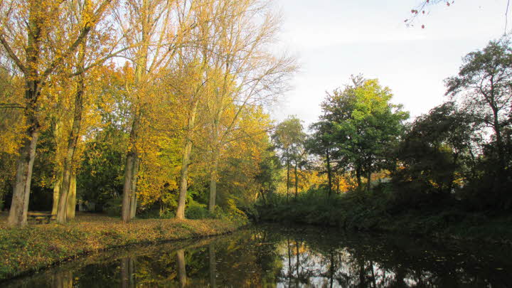 Delftse Hout | The Caravan Club