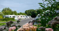 Pembrey Country Park Club Campsite | The Caravan Club