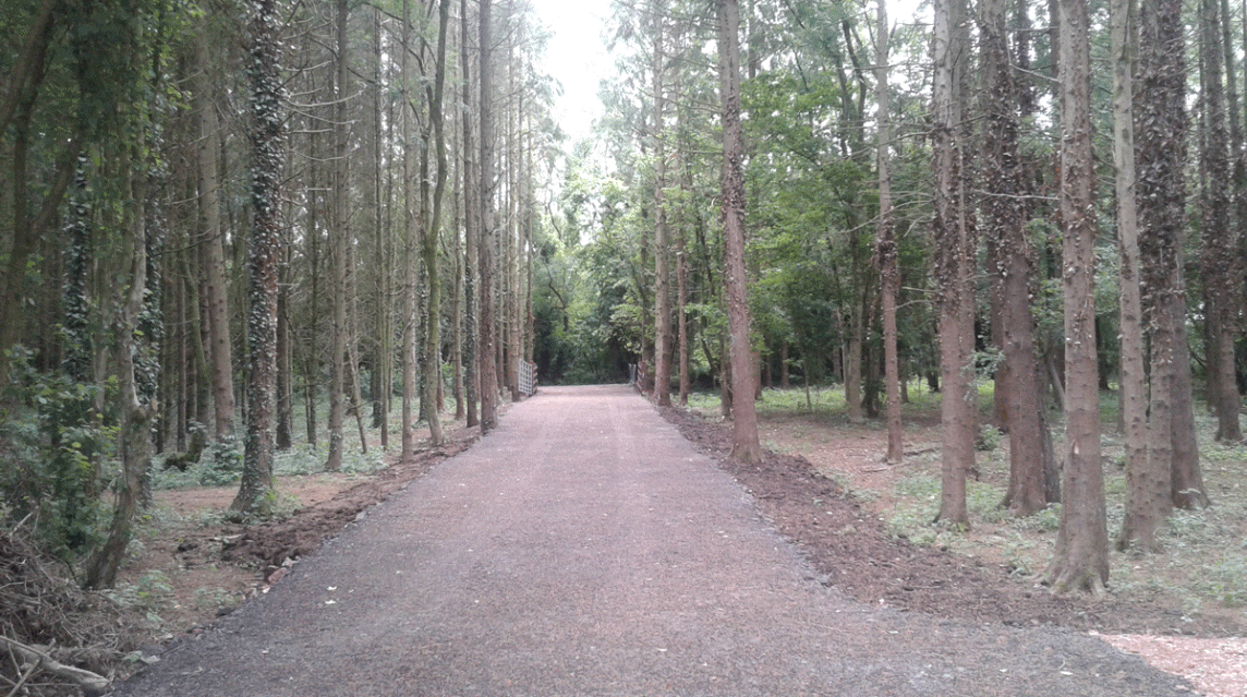 Pine Trees Camping Certificated Location | Caravan and Motorhome Club