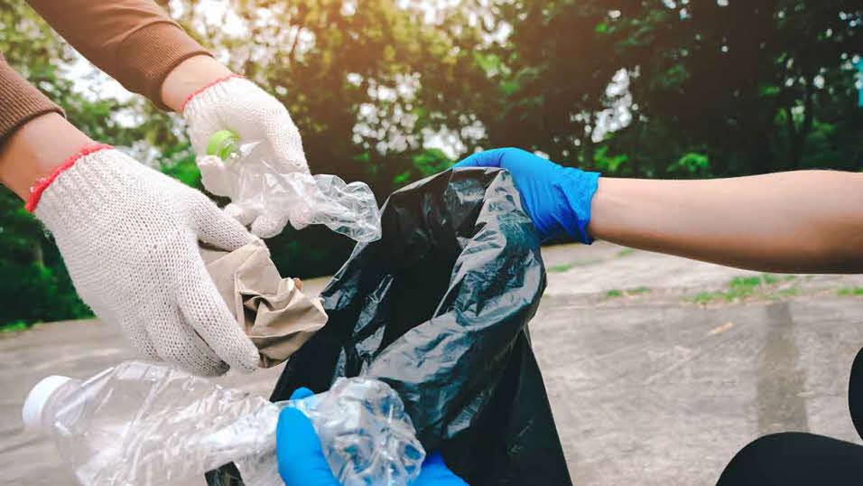 Green Tourism | The Caravan Club