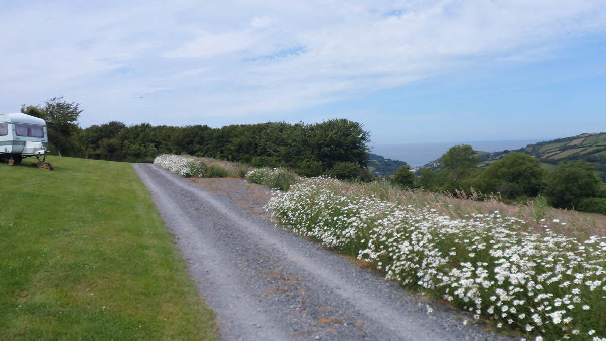 Combe Martin Certificated Locations | Caravan and Motorhome Club