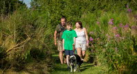 River Breamish Club Campsite | The Caravan Club