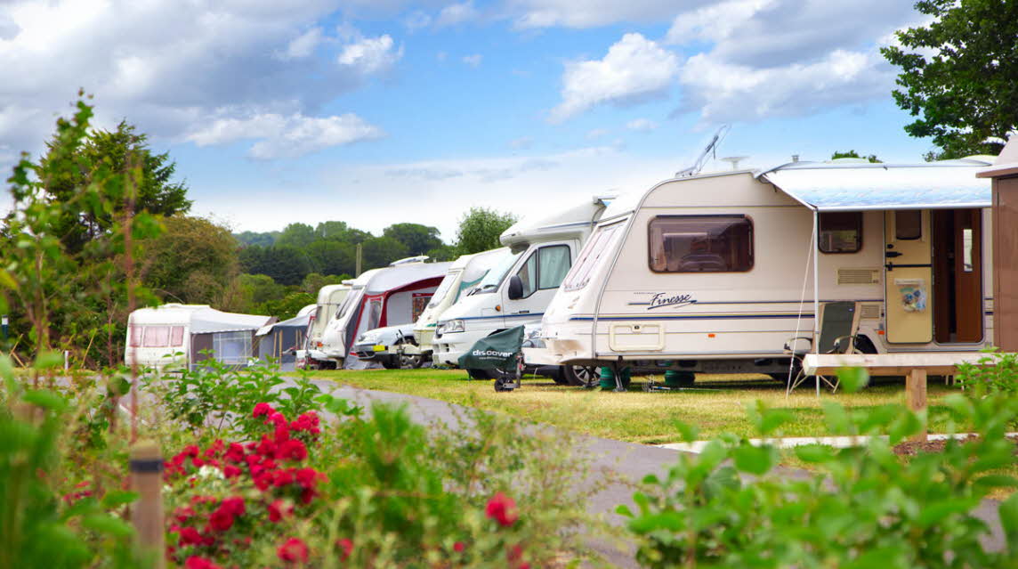 Littlehampton Club Campsite | The Caravan Club