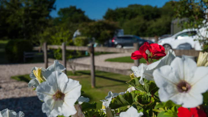 Poole Farm Certificated Location | Caravan and Motorhome Club